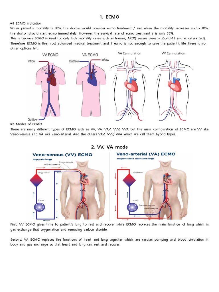 ECMO Explanation | PDF | Vein | Heart