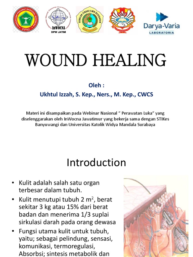 Macam Balutan & Wound Healing | PDF