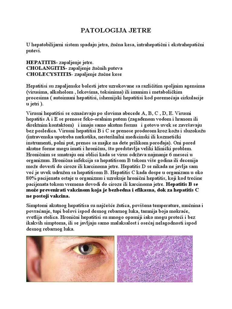 Patologija Jetre | PDF