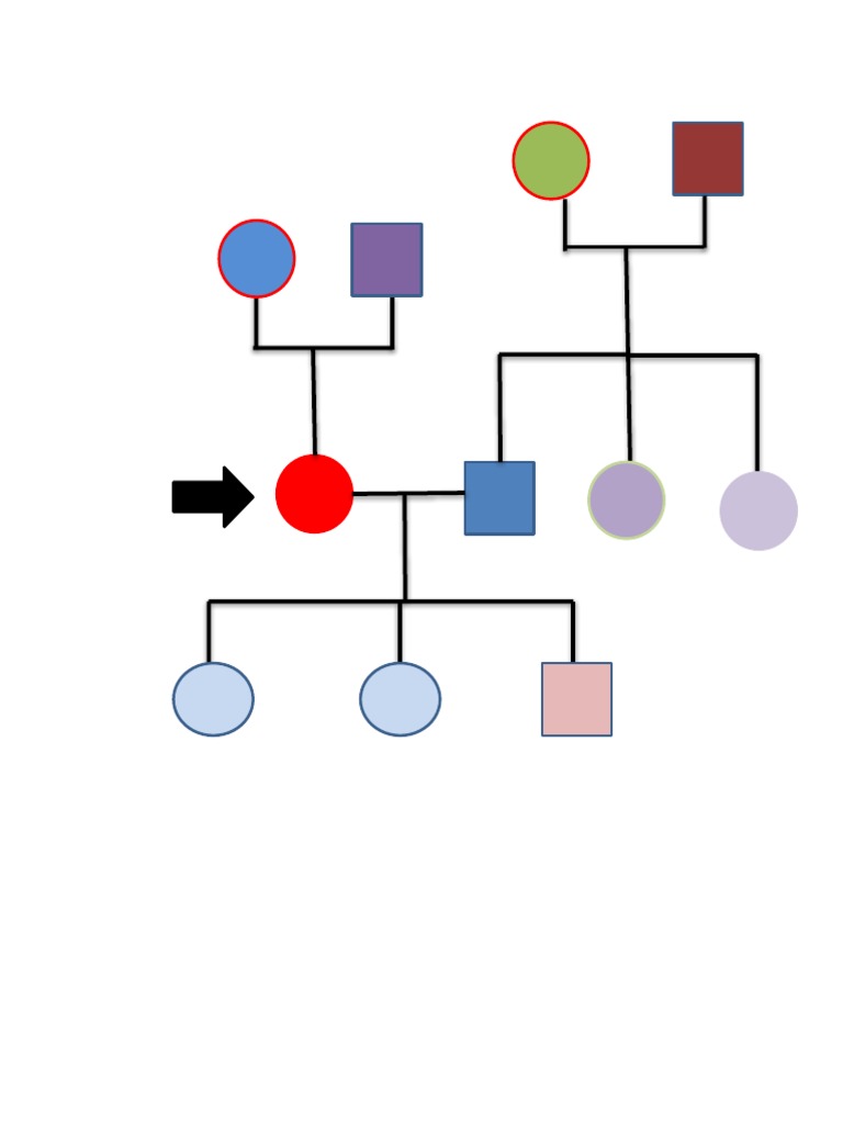 Genogram Kedokteran Keluarga | PDF