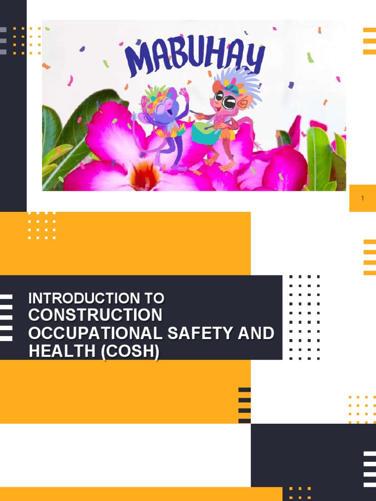COSH - Introduction (Synerquest) - Compressed | PDF | Occupational ...