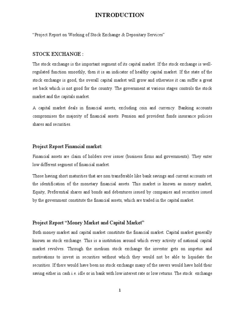 SEBI Project | PDF | Futures Contract | Economies