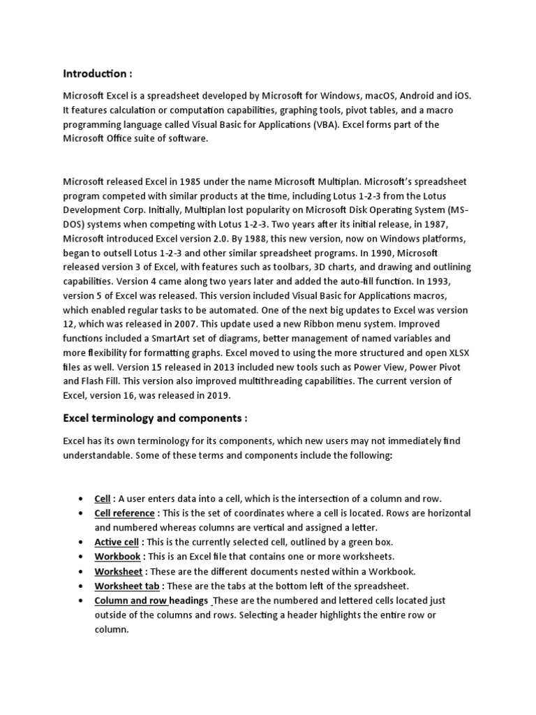 Introduction to Information System Report | PDF | Microsoft Excel ...