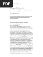 Intergranular Corrosion Testing Overview | PDF | Corrosion | Metallurgy
