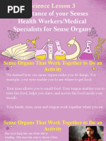 Grade 1 Physical Science States of Matter Worksheet | PDF