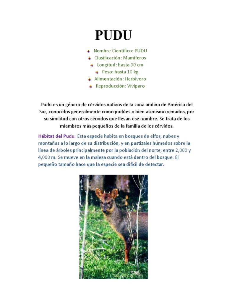 PUDU Animal en Peligro de Extincion Do | PDF | Movimiento ...