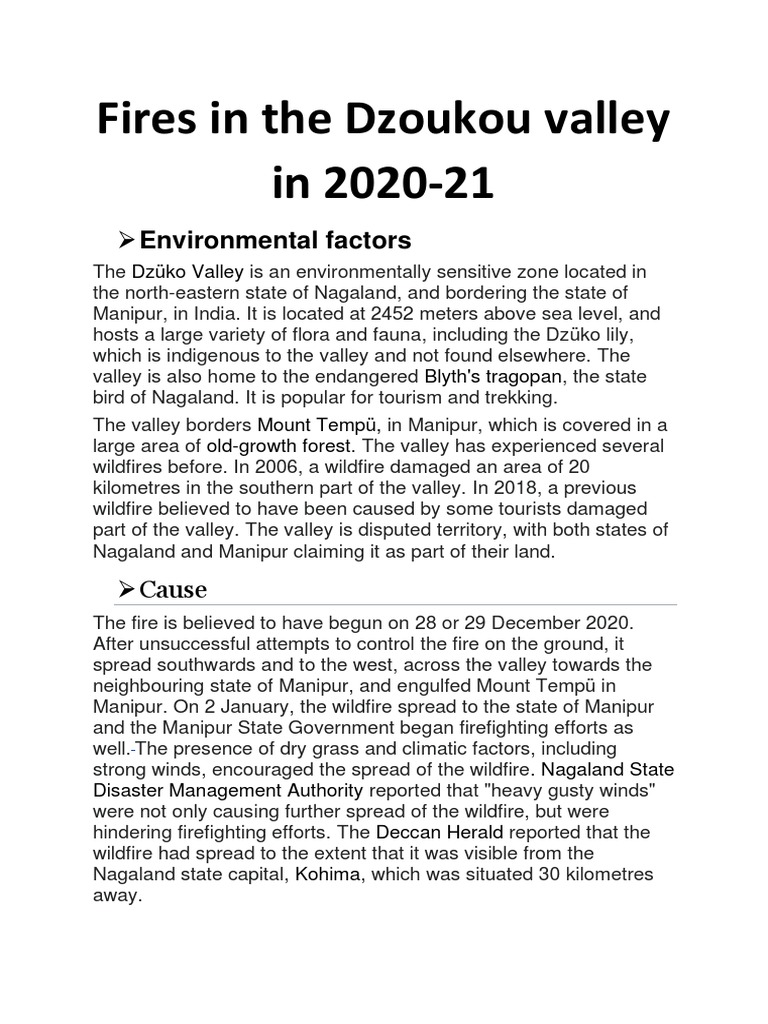 Social | PDF | Wildfire | Fires