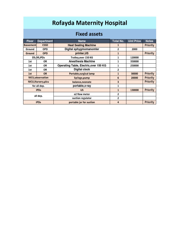 Rofayda Maternity Hospital: Fixed Assets | PDF | Neonatal Intensive ...