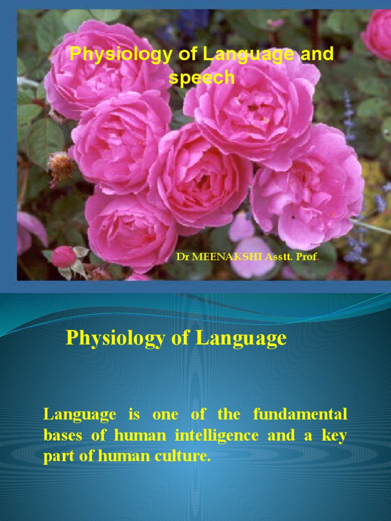 Physiology of Language and Speech: DR MEENAKSHI Asstt. Prof | PDF ...