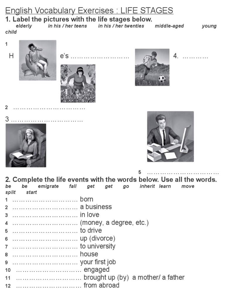 English Vocabulary Exercises LIFE STAGES 2022 | PDF | Languages ...
