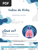 Qué Es La PAFI-1 | PDF