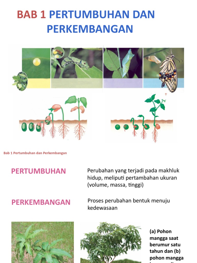 Biolog I | PDF