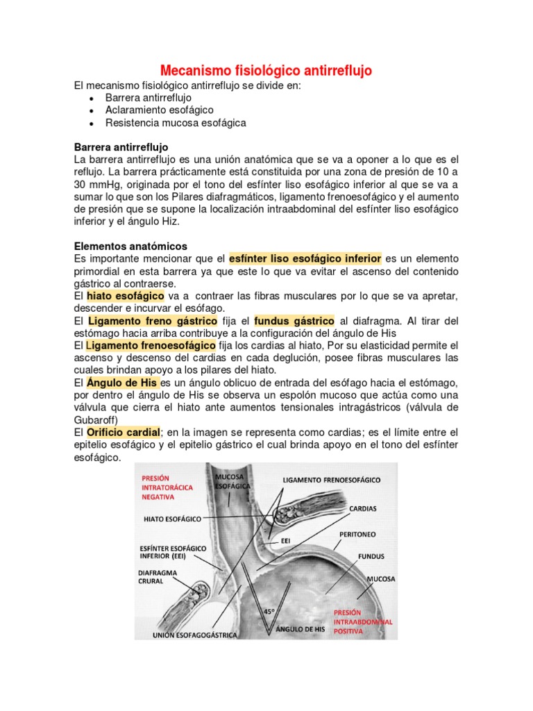 Mecanismos de defensa contra el reflujo gastroesofágico y su posible ...