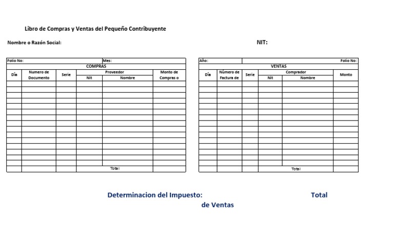 Formato Libro de Compras y Ventas Pequeño Contribuyente | PDF