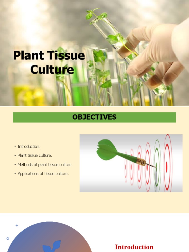 Plant Tissue Culture Guide | PDF | Growth Medium | Plants
