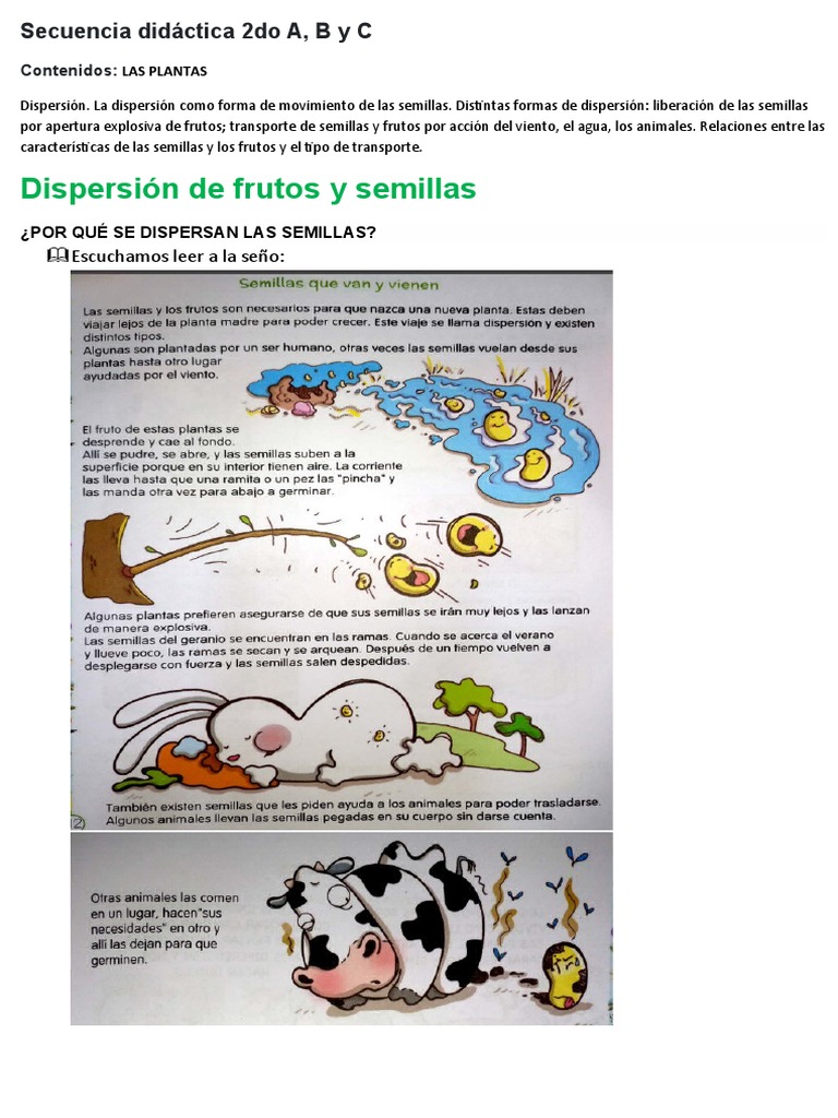Dispersión de Semillas para Niños | PDF | Fruta | Semilla