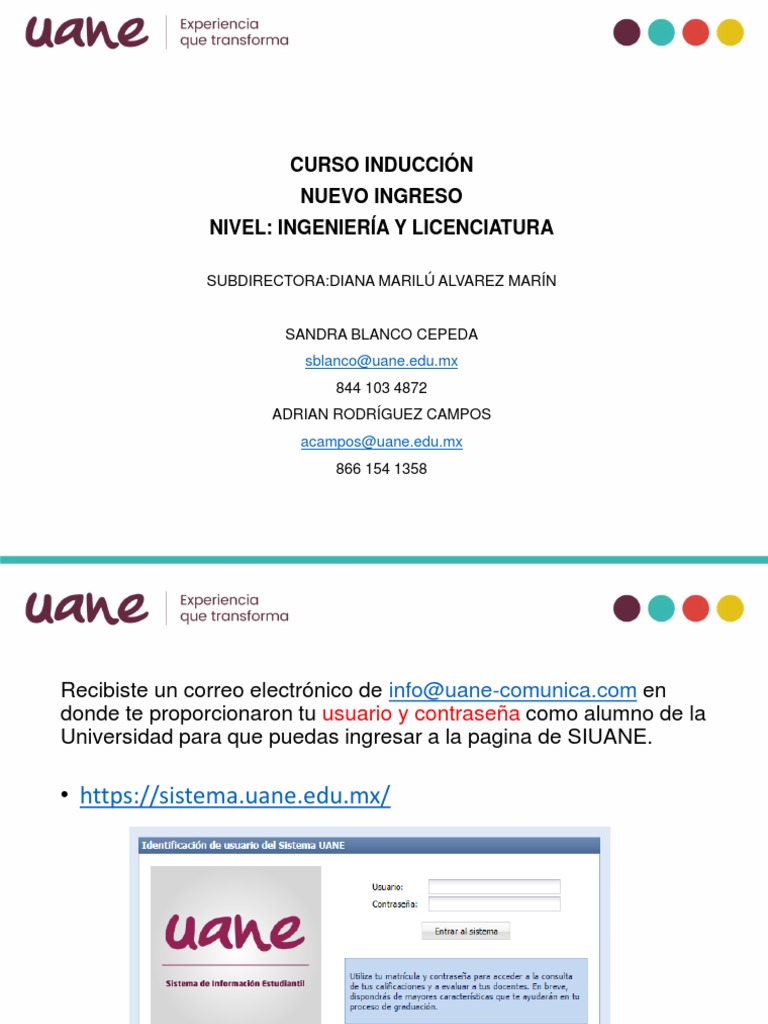 Curso de Induccion Alumnos 2022 | PDF | Prueba (evaluación ...