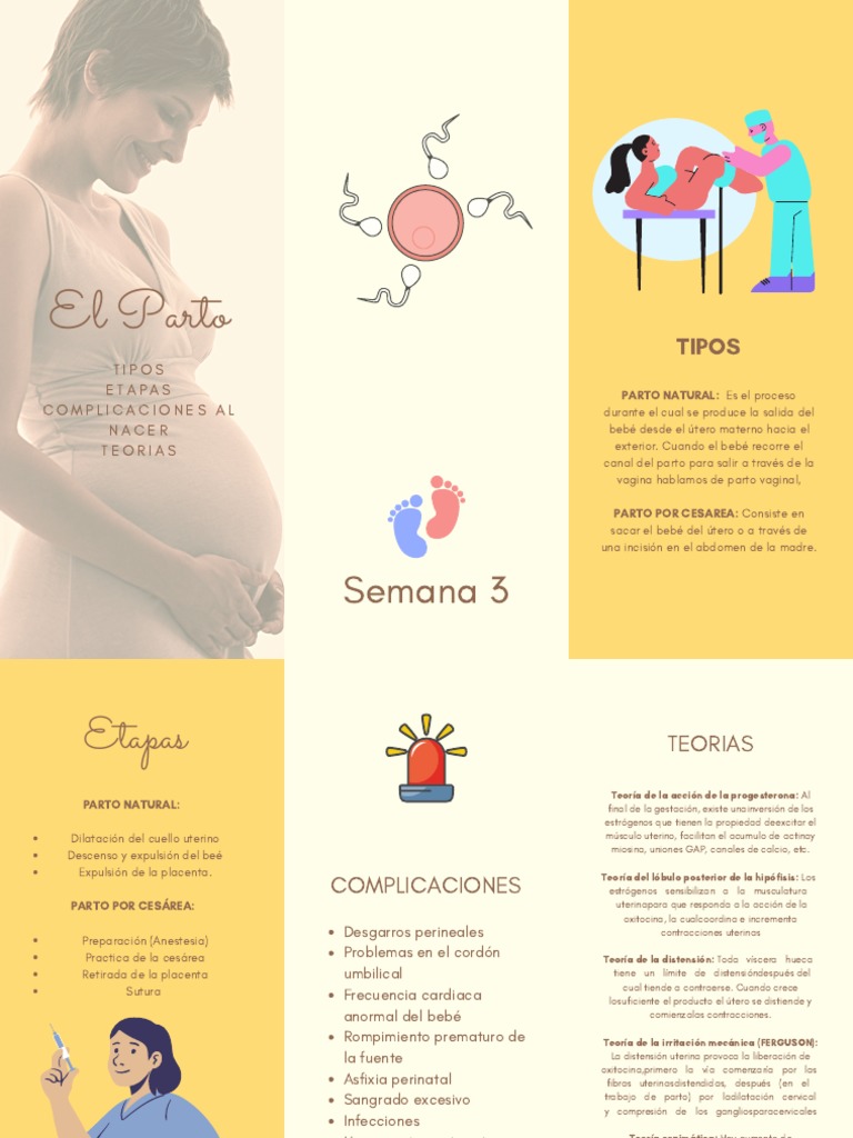 El Parto | PDF | Parto | Salud maternal