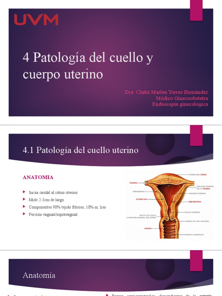 4 Patología Del Cuello y Cuerpo Uterino | PDF | Cáncer de cuello uterino | Especialidades Medicas