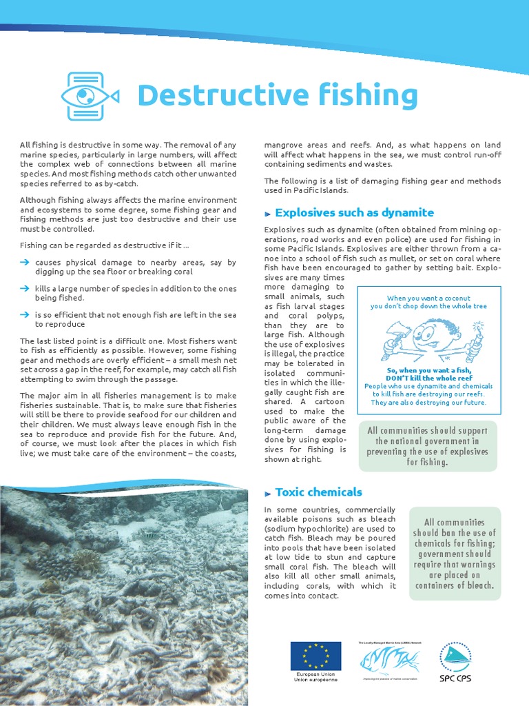 Anon 13 ISFC 00d Destructive Fishing | PDF | Coral Reef | Sea