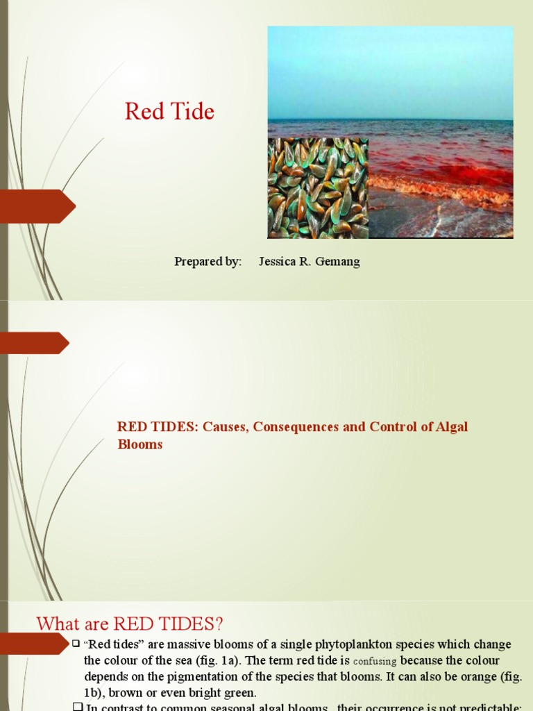 Red Tide | PDF | Phytoplankton | Hydrology