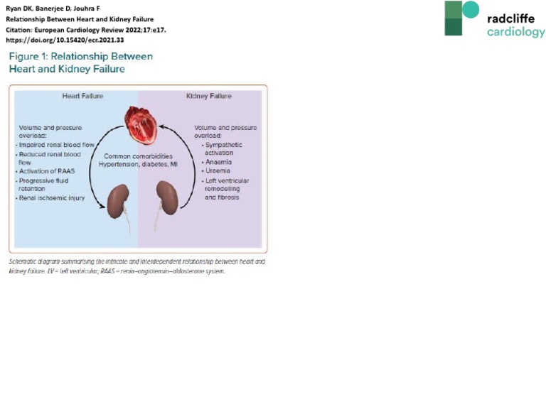 Relationship Between Heart and Kidney Failure | PDF