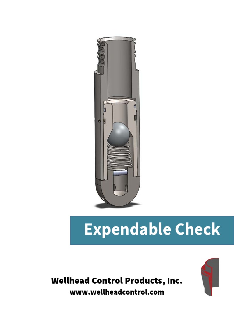 Expendable Check: Wellhead Control Products, Inc | PDF