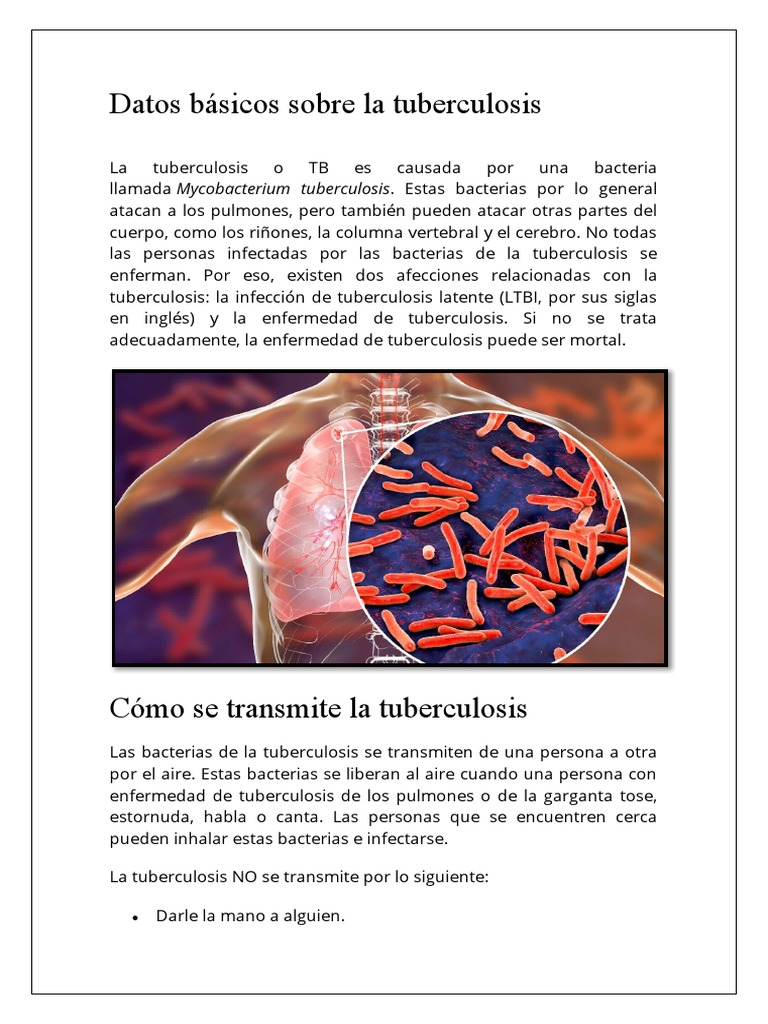 Datos Básicos Sobre La Tuberculosis | PDF | Tuberculosis | Infección Datos Básicos Sobre La Tuberculosis | PDF | Tuberculosis | Infección