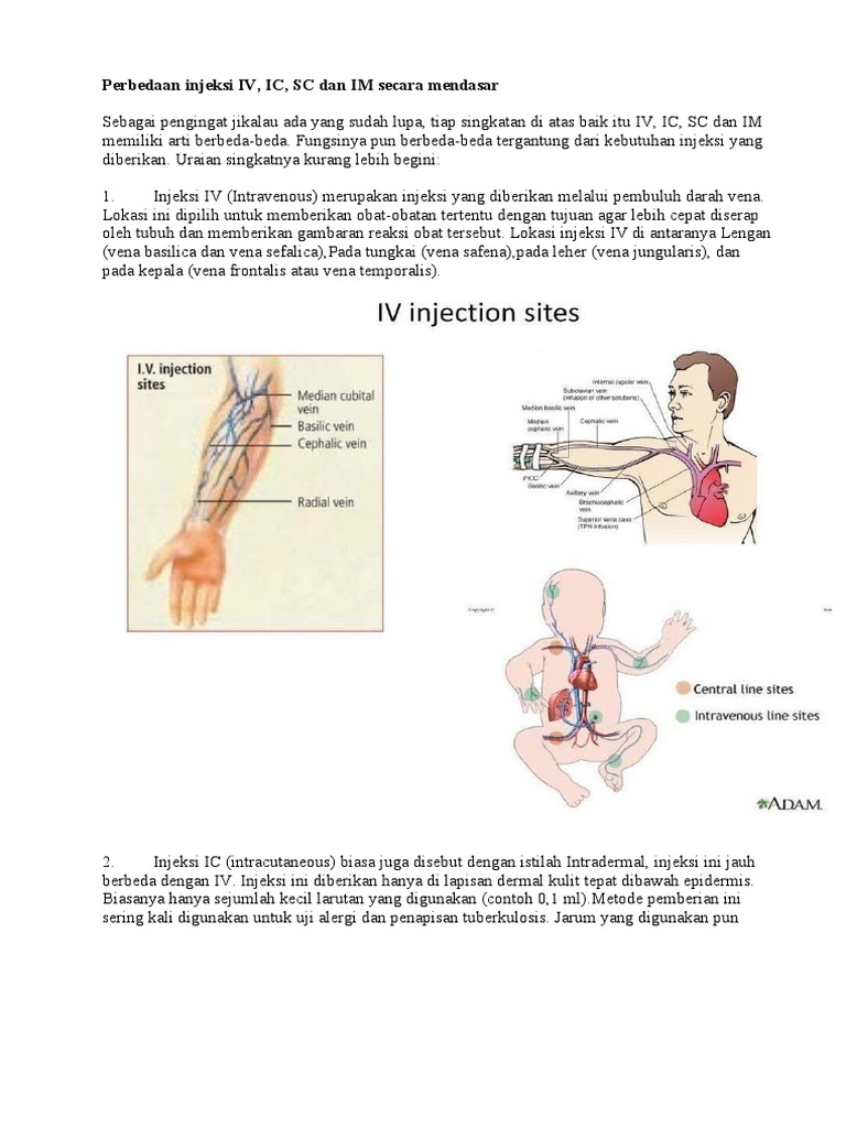 Perbedaan Injeksi IV, IC, SC, IM | PDF