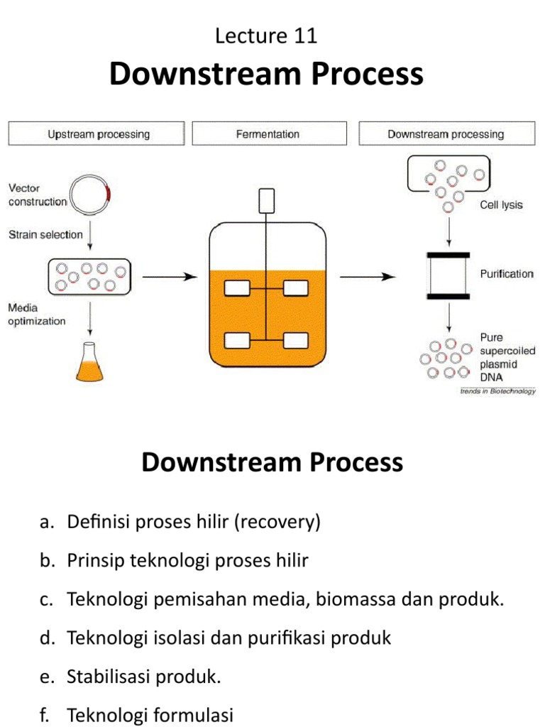 Kuliah-11-Downstream Processing | PDF