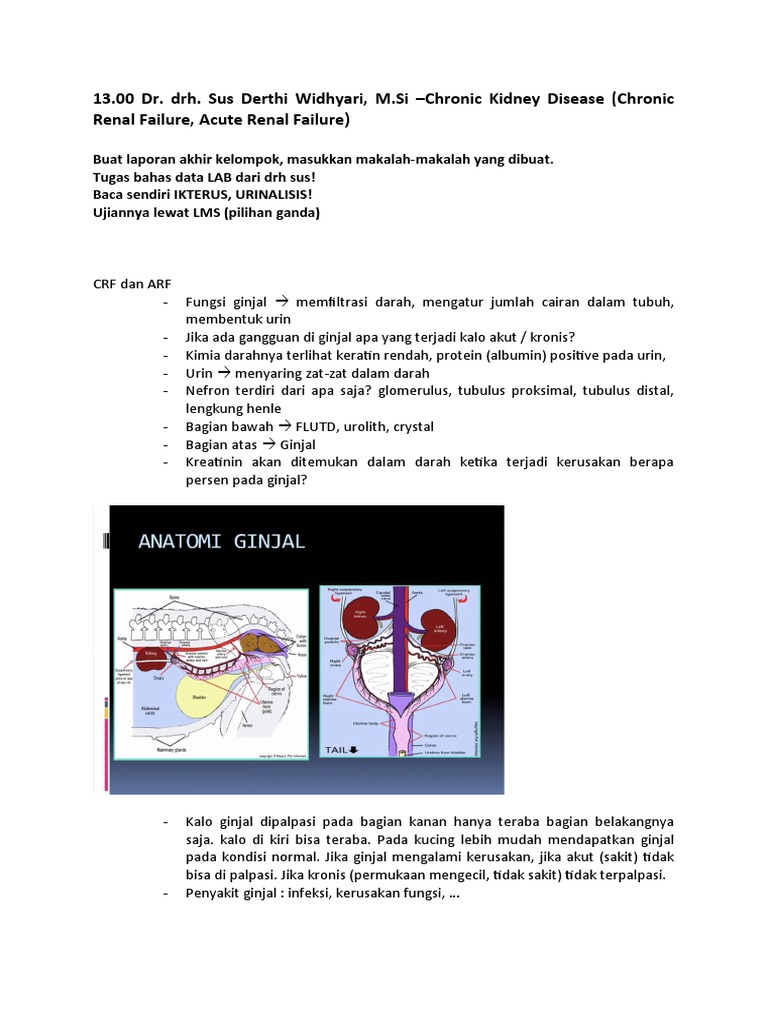 13.CRF Arf | PDF | Pengembangan Diri