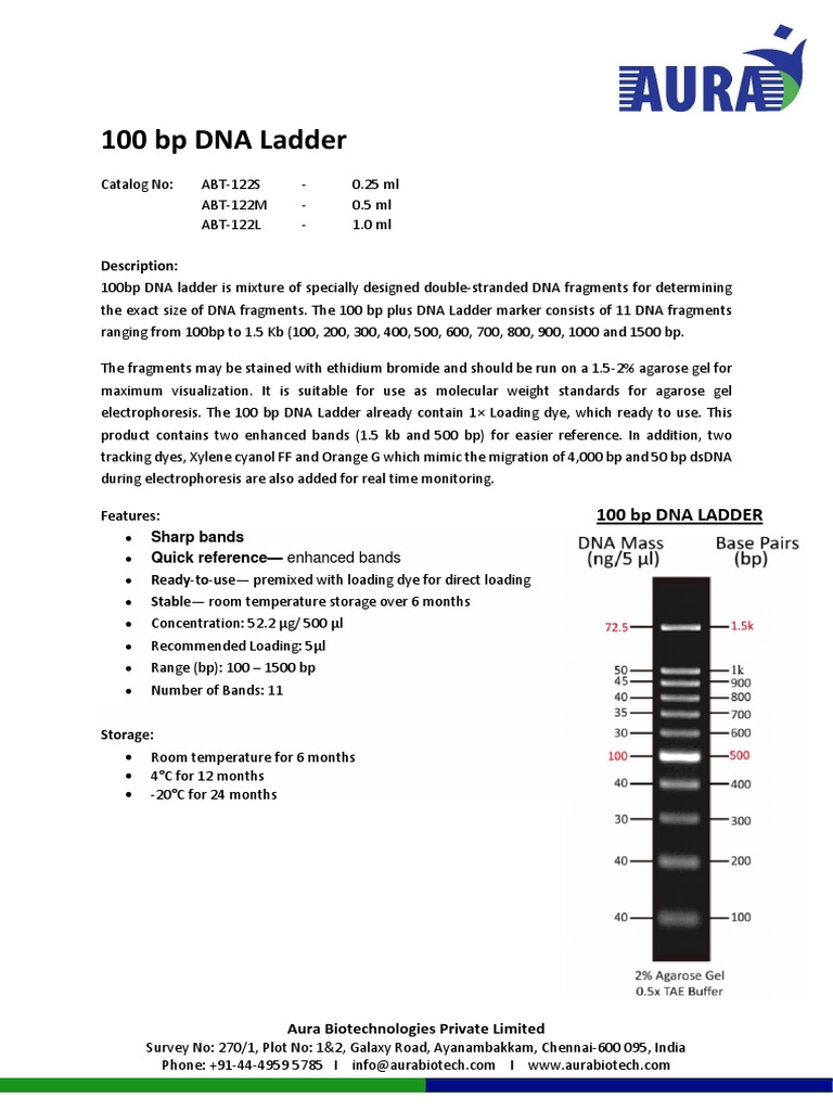 100 bp DNA Ladder for Gel Electrophoresis | PDF | Science & Mathematics