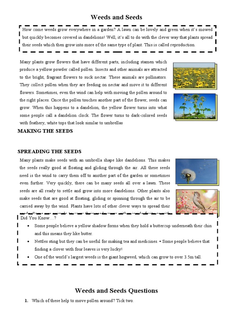 Science Reading Comprehension - Weeds and Seeds | PDF | Flowers ...