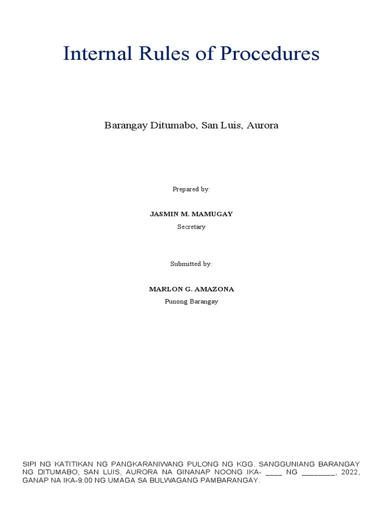 Internal Rules of Procedures 2022 | PDF