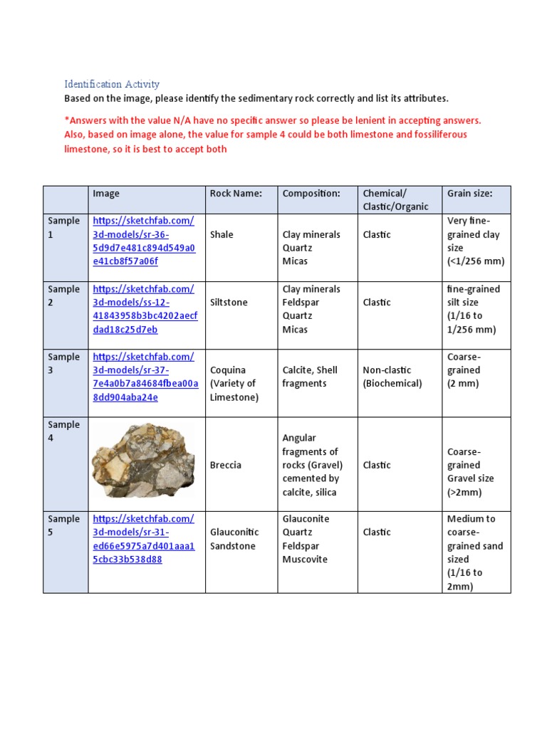 Sedimentary Rocks Activity1 | PDF | Clastic Rock | Sedimentology