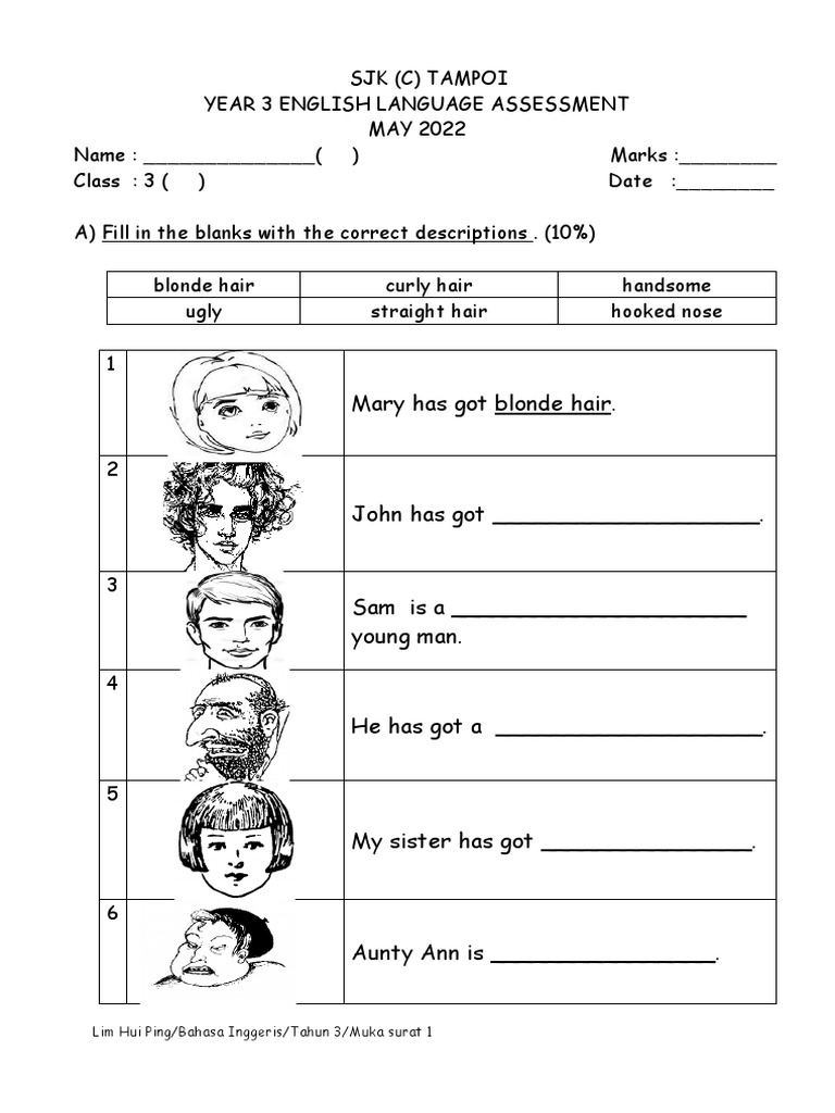 Year 3 English Assessment 2022 | PDF