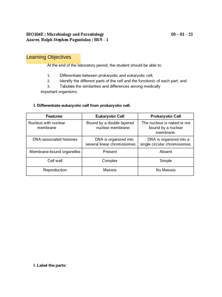 BIO104E - Laboratory Activity (The Cell) | PDF | Cell (Biology ...