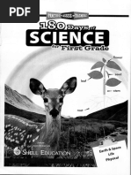 My View Unit 1 First Grade | PDF