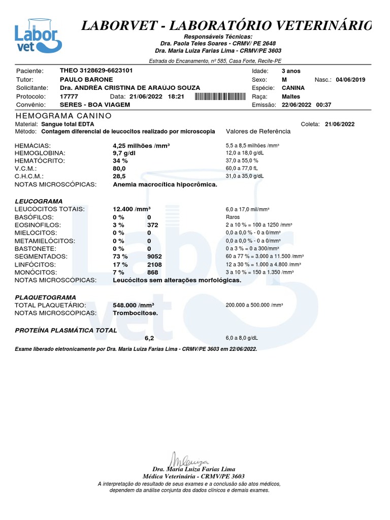 Resultados Theo 3128629 (Tutor Paulo Barone) - 17777 | PDF | Patologia ...