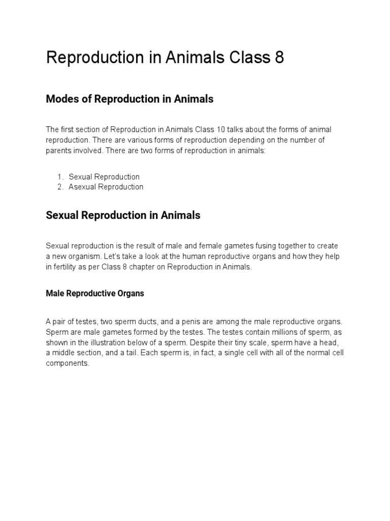 Reproduction in Animals Class 8 | PDF | Sexual Reproduction | Fertilisation