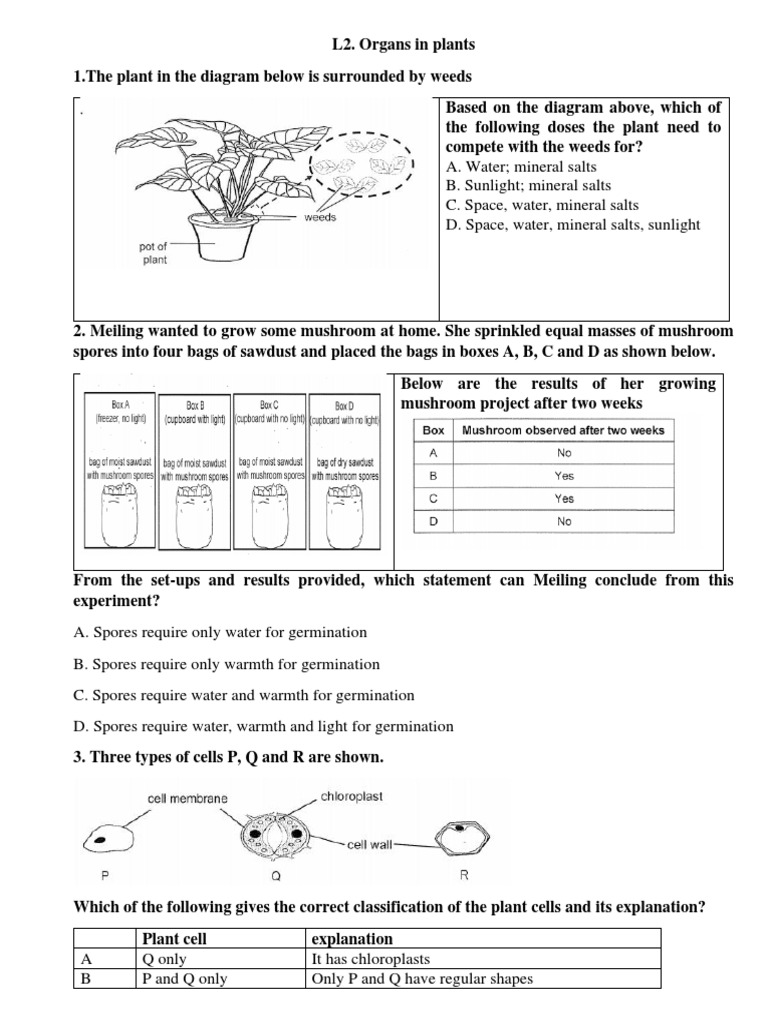 L2. Organs in Plants 6 - 7 | PDF | Fruit | Plants
