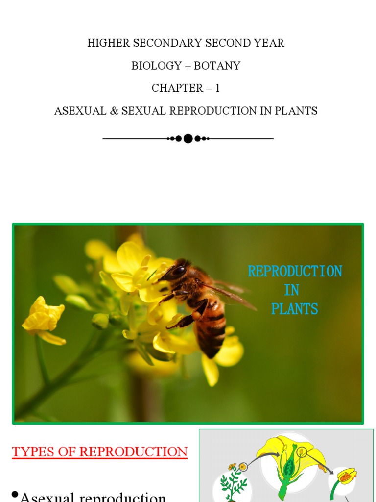 Bio-Botany - Lesson - 1 - Reproduction in Plants | PDF | Flowers | Grafting