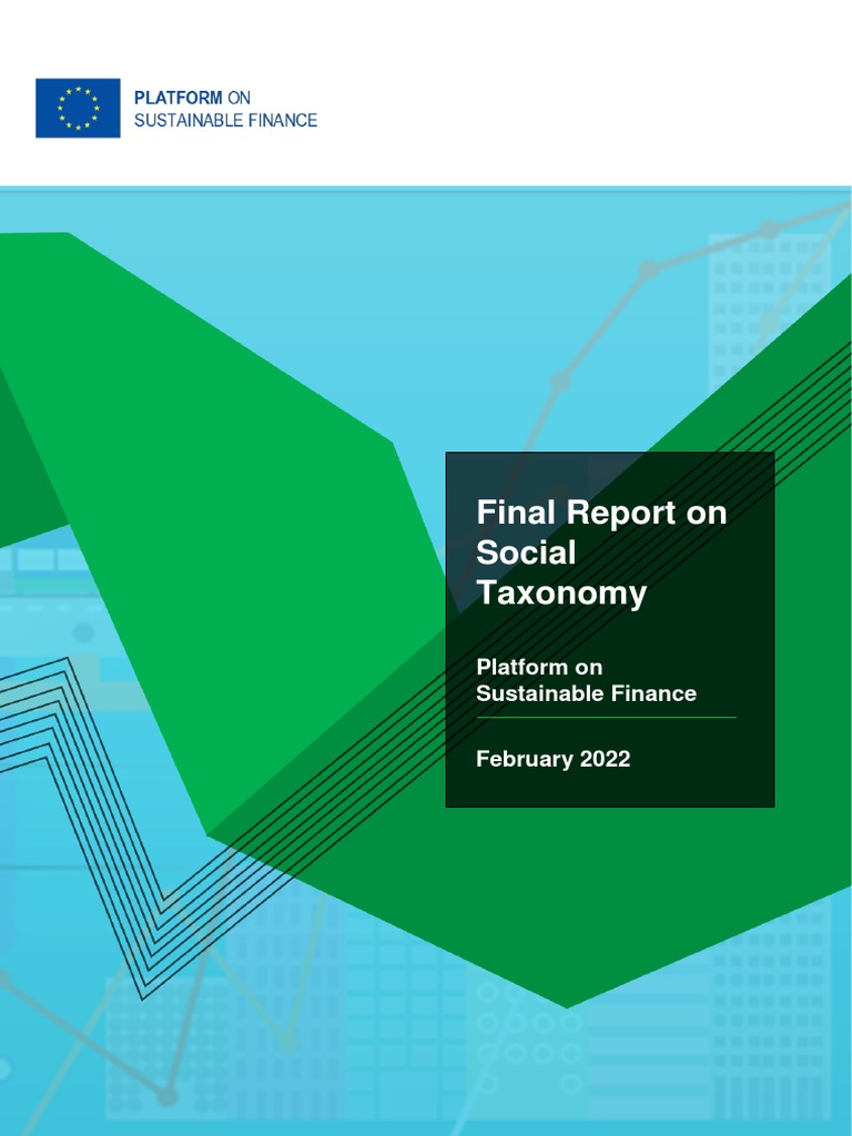 Final Report On Social Taxonomy: Platform On Sustainable Finance | PDF ...