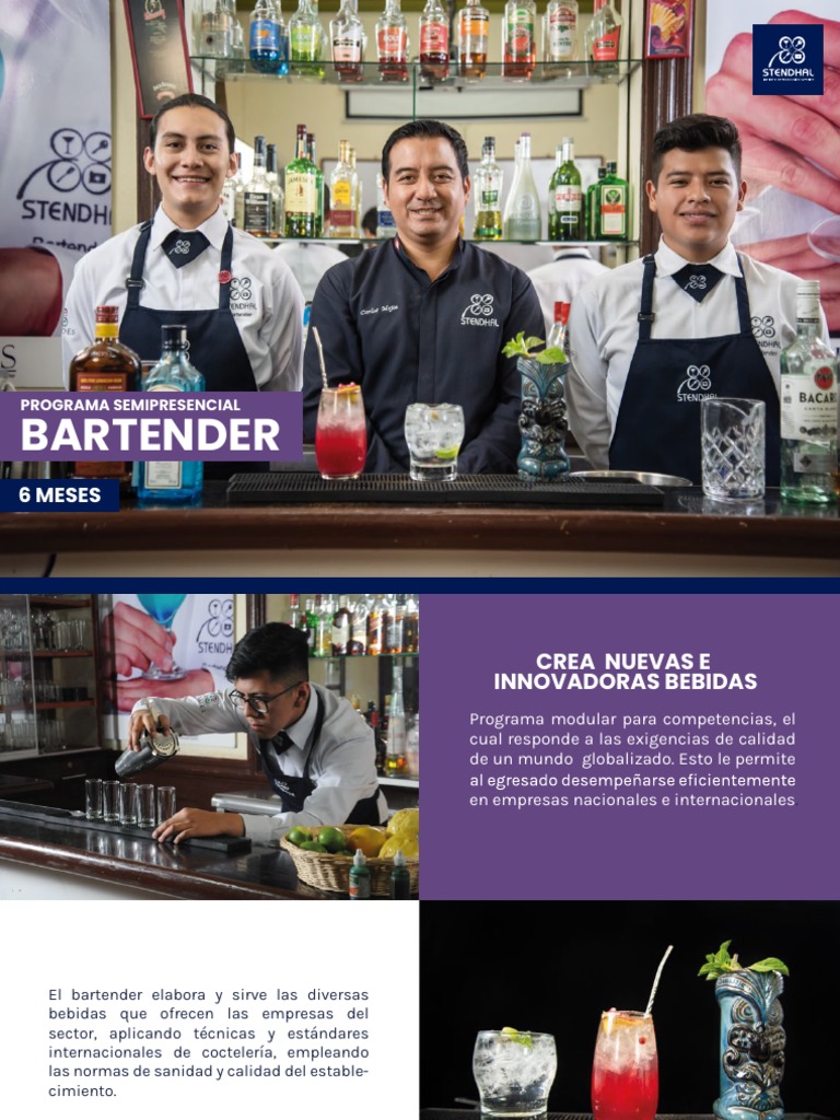 Brochure Bartender - Agosto T. Tarde | PDF | Bebidas alcohólicas