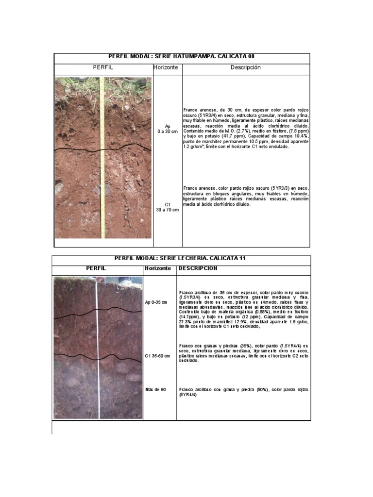Calicatas | PDF | Materiales naturales | Suelo