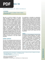 Outerbridge Classification of Cartilage Lesions | PDF | Knee | Cartilage
