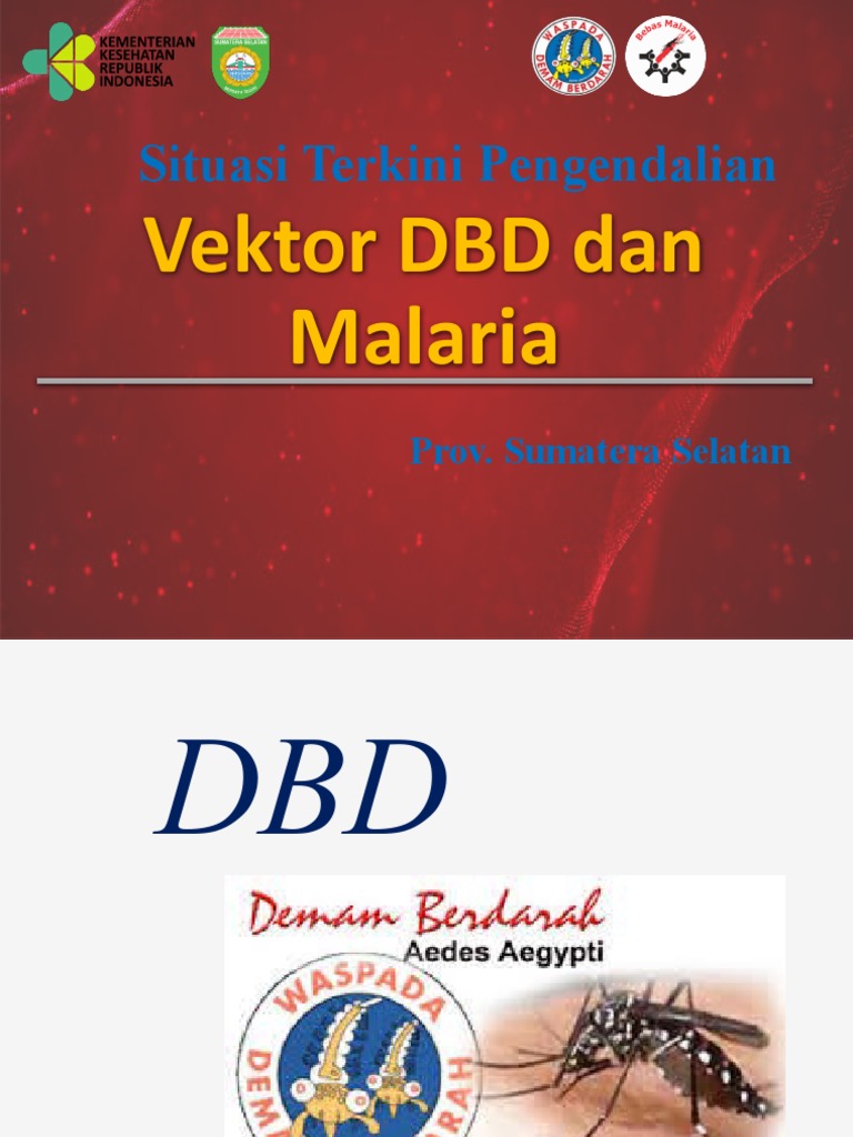 Situasi DBD Dan Malaria Di Sumsel | PDF
