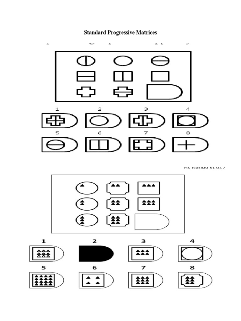 Standard Progressive Matrices | PDF