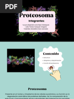 Anatomía de la Cápsula de Glisson | PDF | Tejido adiposo | Riñón