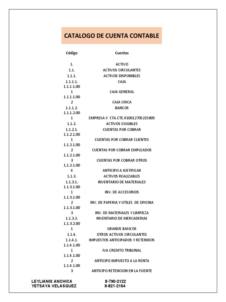 Catalogo de Cuenta Contable | PDF | Salario | Contabilidad